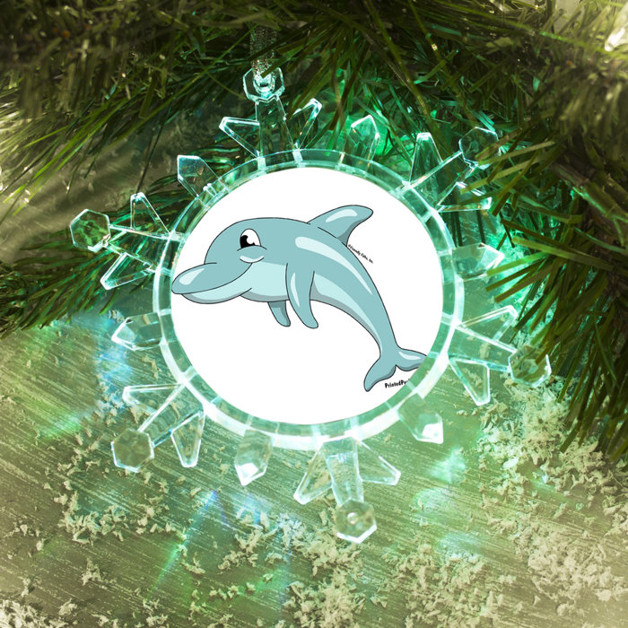 Printed Perfection Personalized Dolphin Lighted LED Snow Flake Christmas Ornament | Wayfair